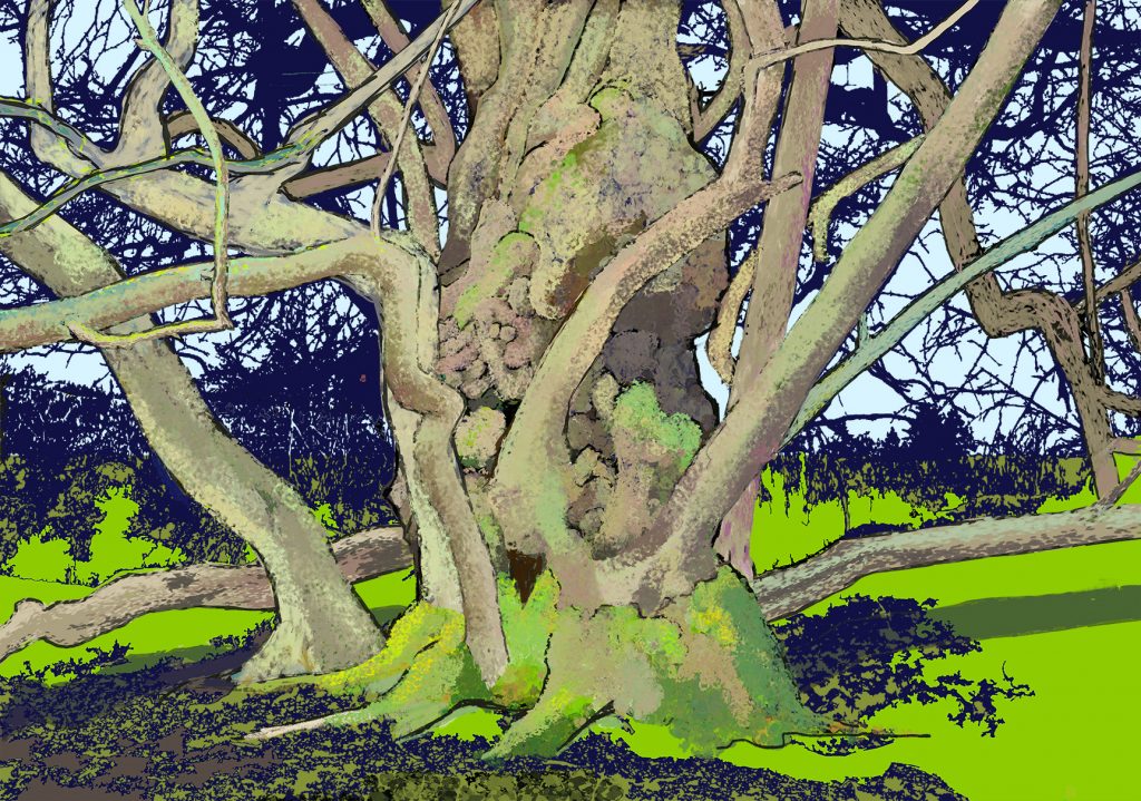 Croft Ancient Tree | Design Thinking Blog